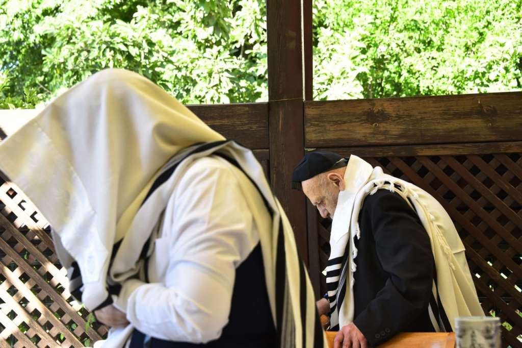 jajam shalom cohen (3) – Mashaladigital