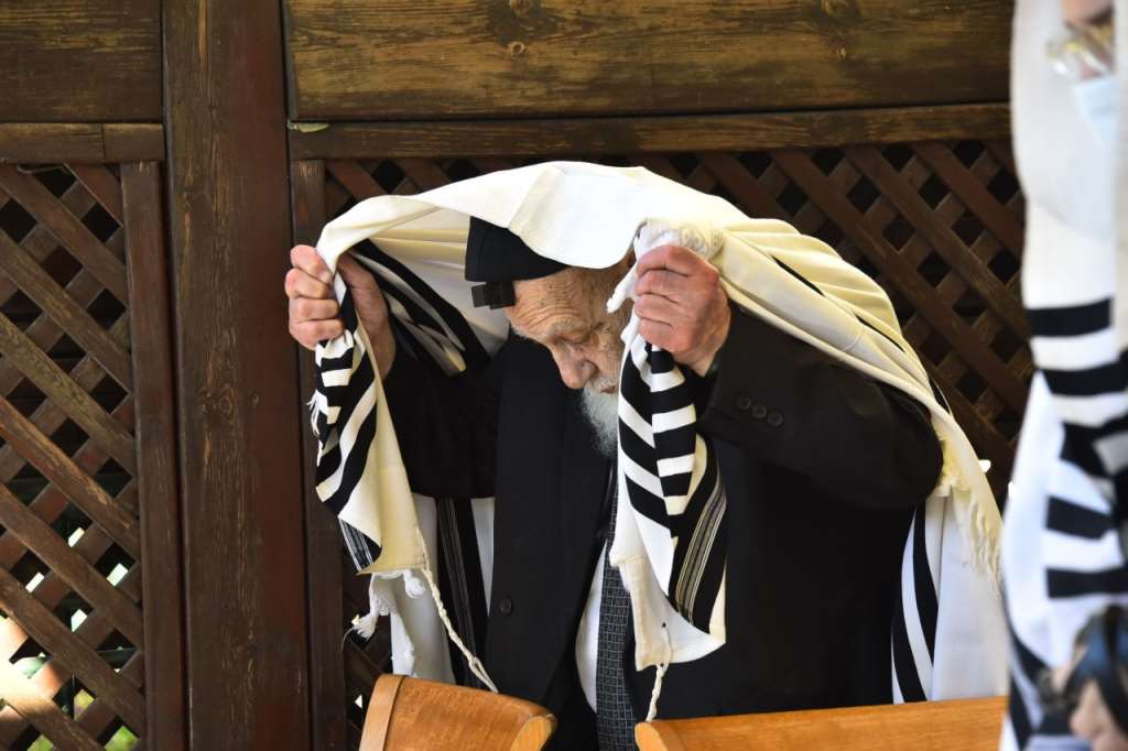 jajam shalom cohen (6) – Mashaladigital