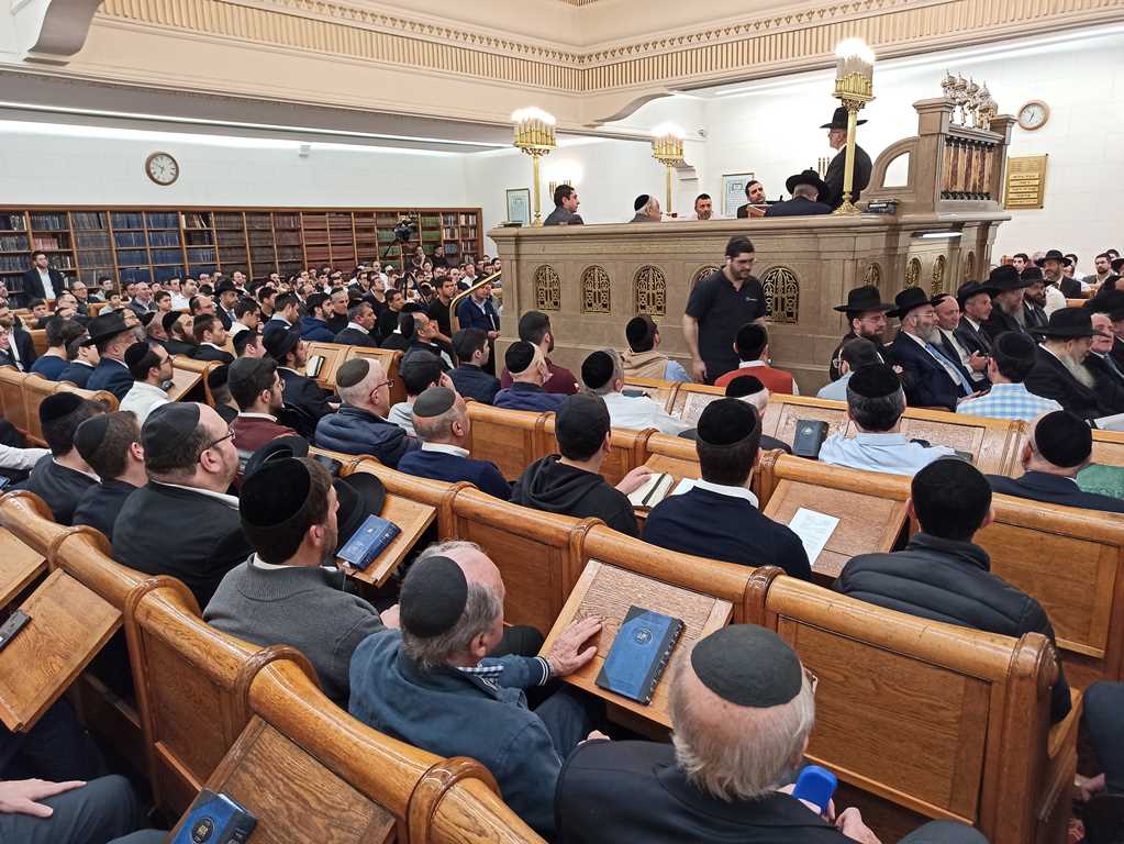 darush jajam shalom cohen (14) – Mashaladigital