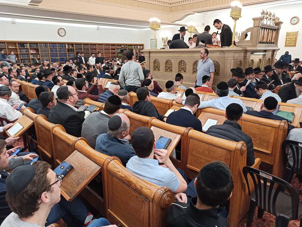 darush jajam shalom cohen (19) – Mashaladigital