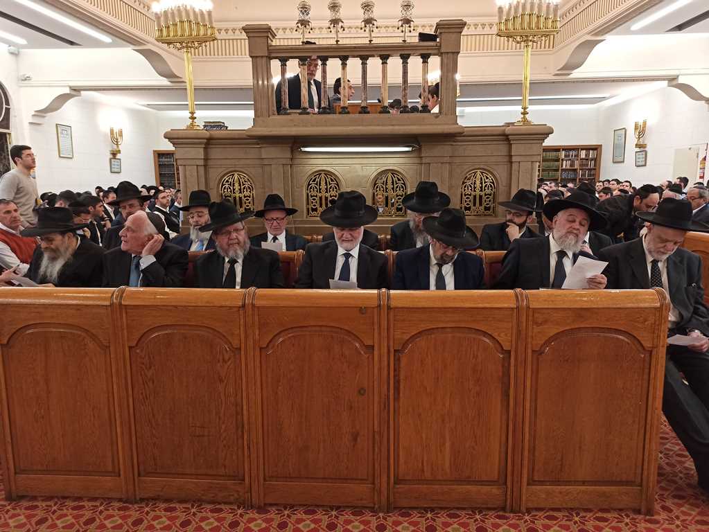 darush jajam shalom cohen (22) – Mashaladigital