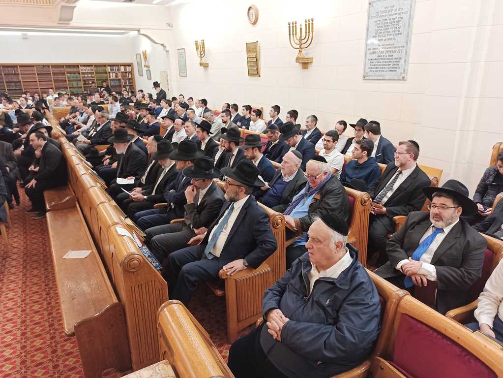 darush jajam shalom cohen (25) – Mashaladigital