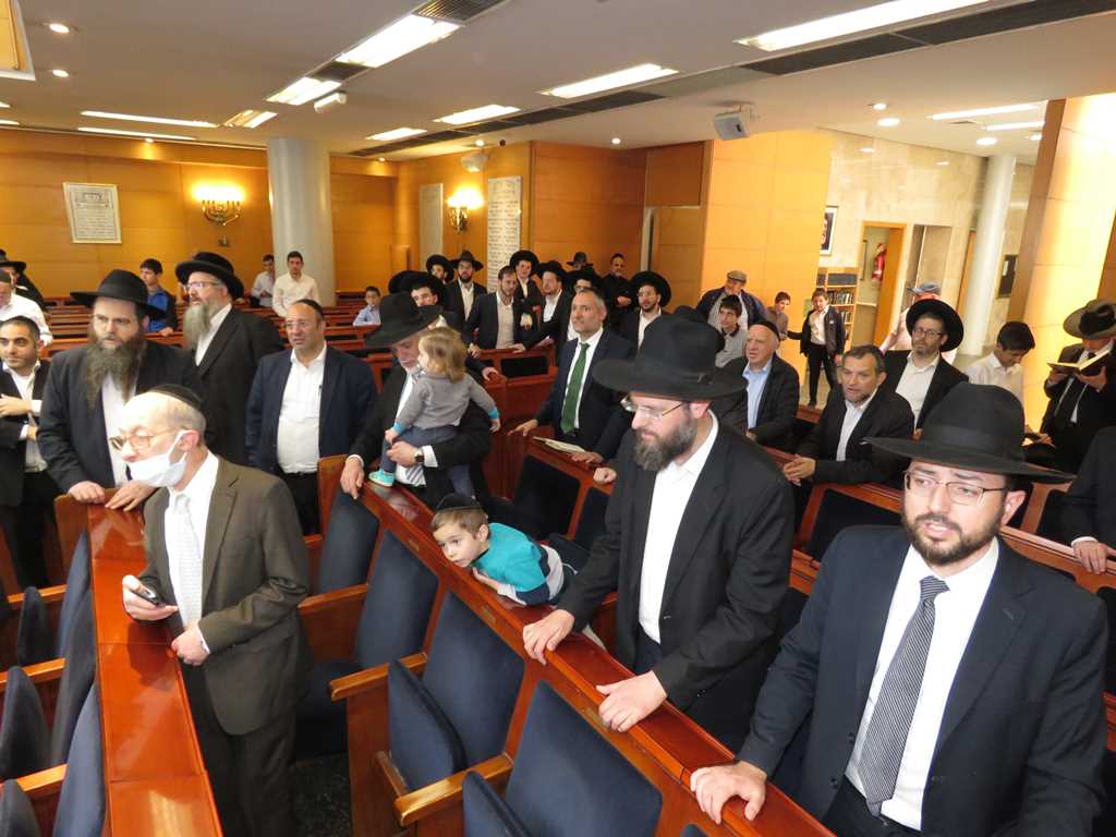 berit mila refael chami (19) – Mashaladigital