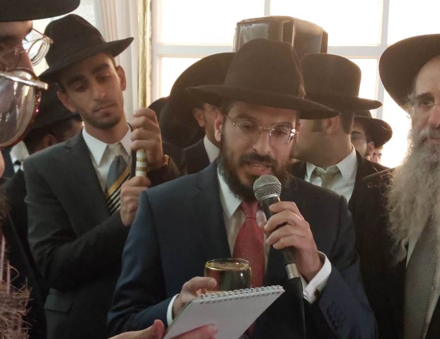 jupa antebi yabra (12) – Mashaladigital