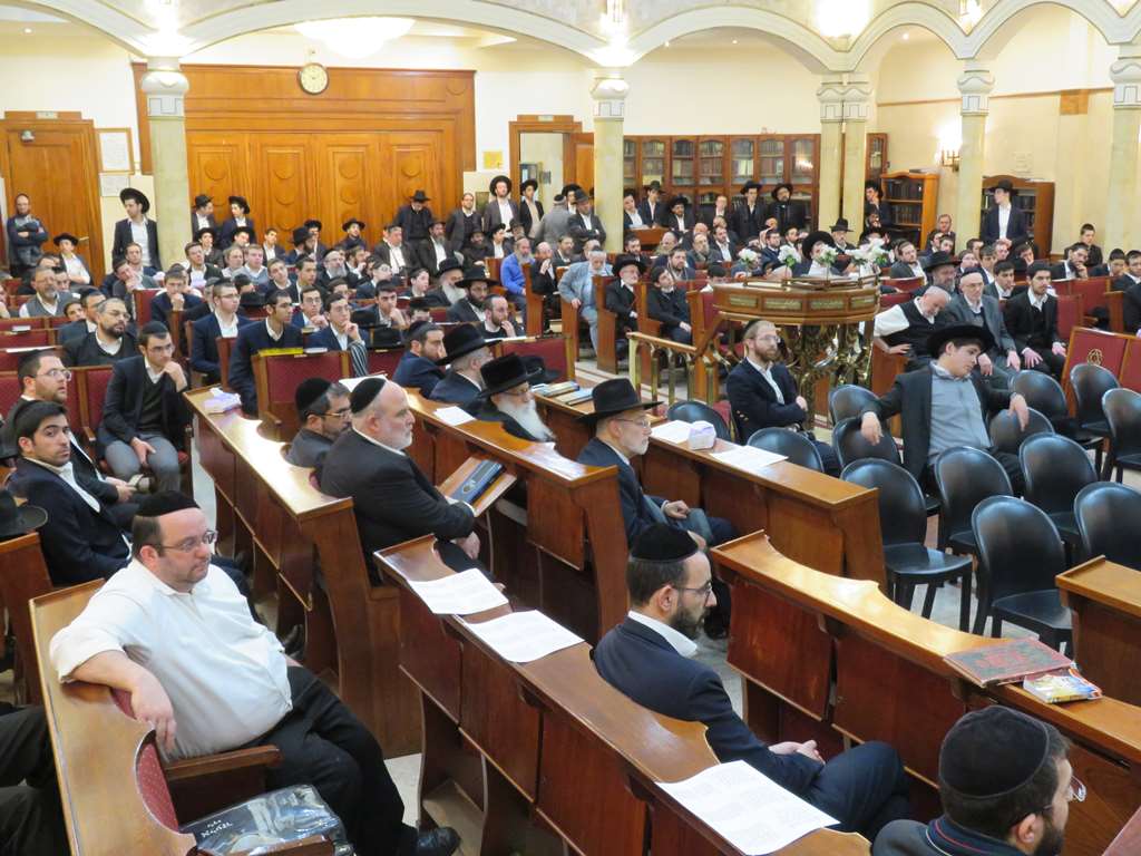 shaare tefila, israel, sacar (24) – Mashaladigital